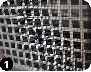 Bushfire Mesh Home - Stainless Steel Wire Mesh